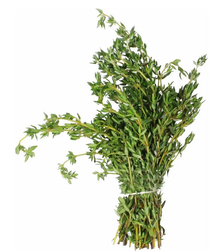 Thyme - 1 Bunch 16 oz (1 lb.) – GSG Essentials LLC